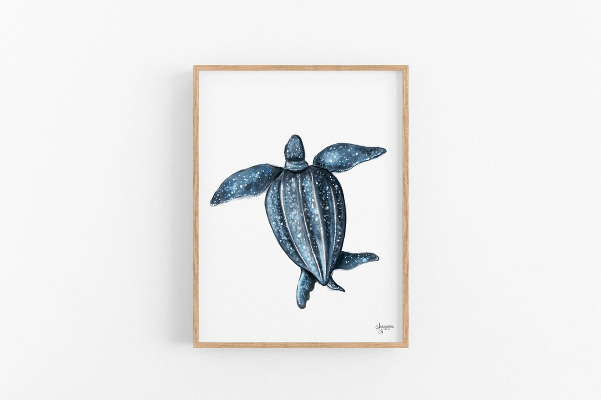 Leatherback Sea Turtle Print by coastal artist Alexandra Nicole ...