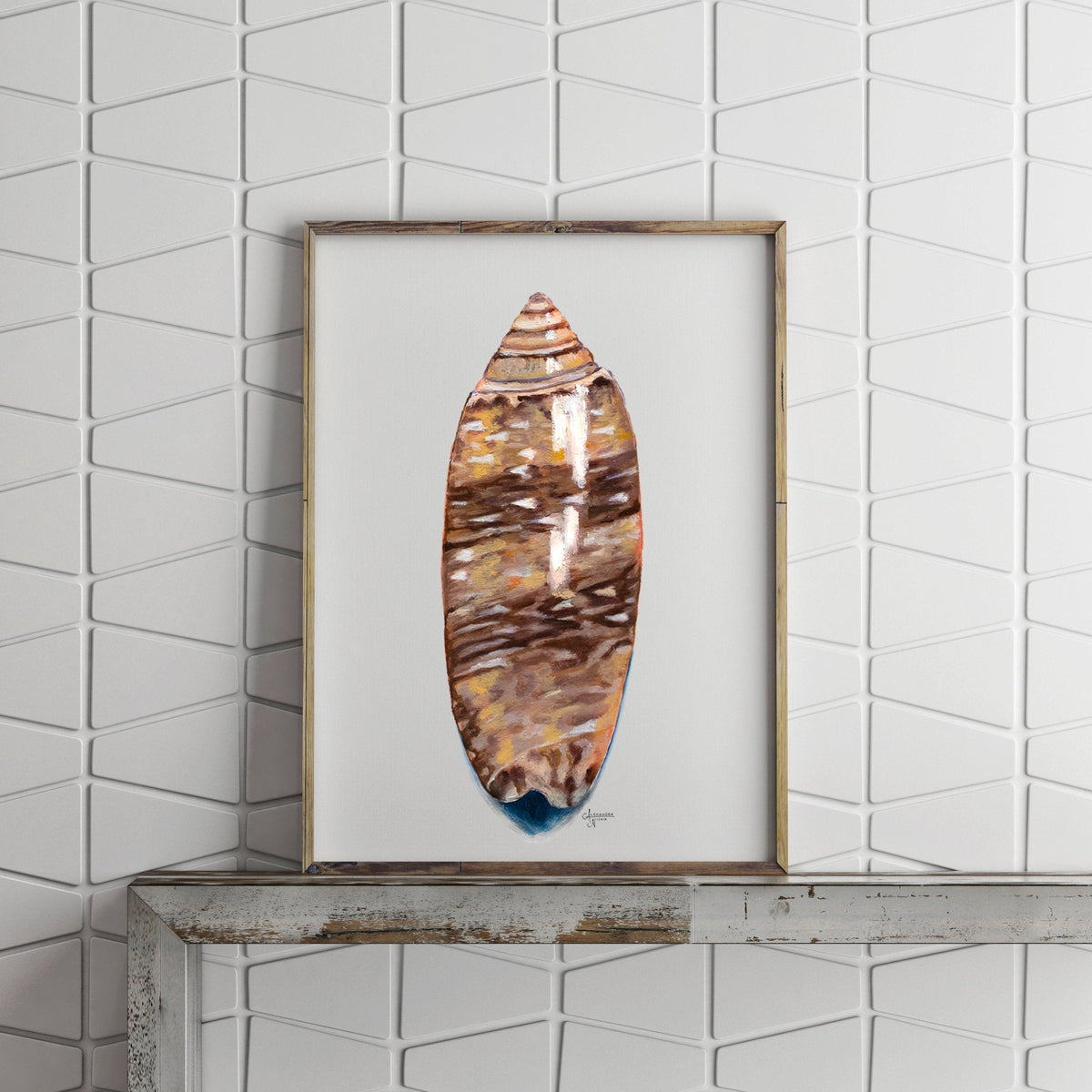 Olive Shell Print, Lettered Olive Print, Shell Art Alexandra Nicole ...